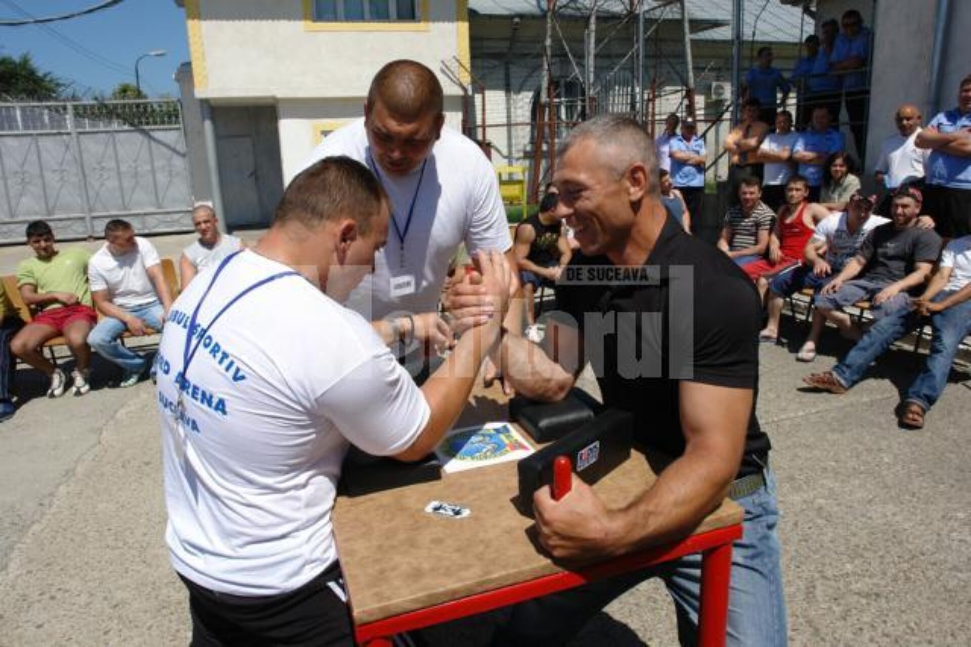 Campion din celulă la skandenberg – Monitorul de Suceava – Ziarul care ...